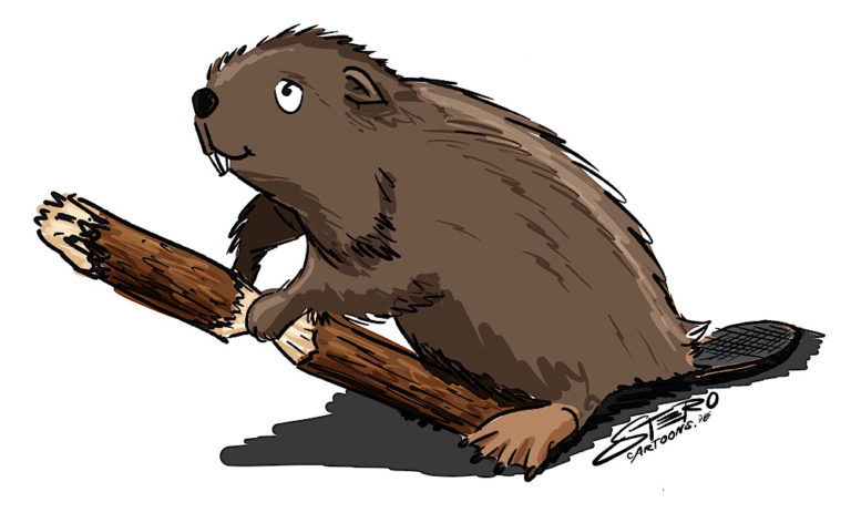 cartoon-karikatur-Comic Biber - Roth-Cartoons